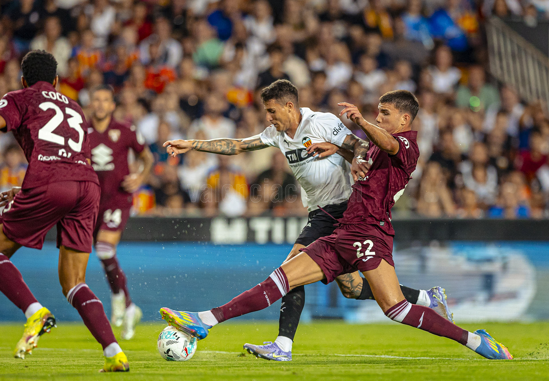 Las fotos del Valencia CF-Torino FC - Valencia CF