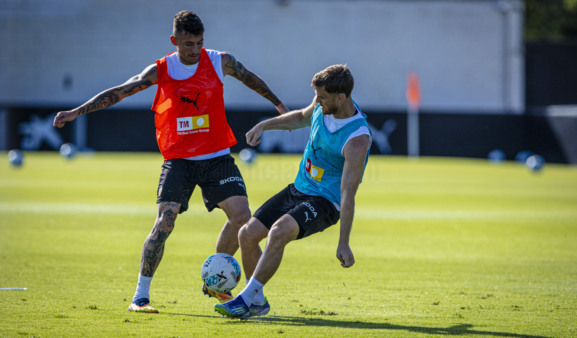 VALENCIA CF TRAINING SESSION 13/09/25 - Valencia CF