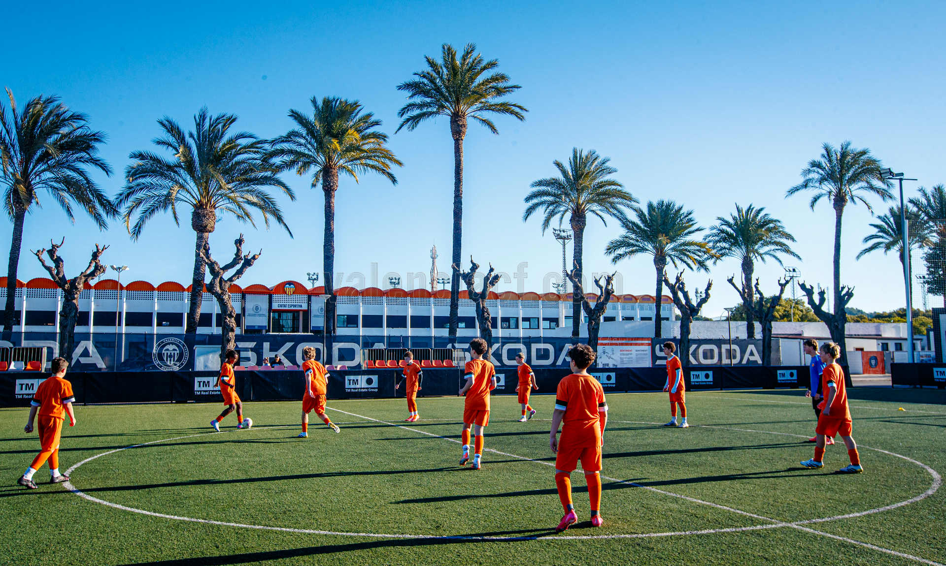 VCF ACADEMY ADELAIDE | TRAINING EXPERIENCE - Valencia CF